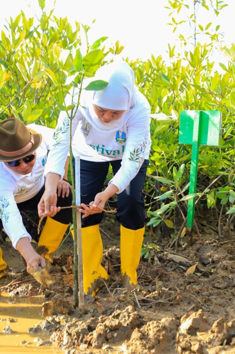 Pemprov Jatim Gelar Festival Mangrove di Pancer Cengkrong Trenggalek ...