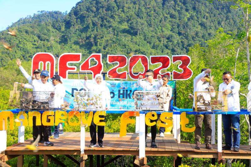 Pemprov Jatim Gelar Festival Mangrove di Pancer Cengkrong Trenggalek ...